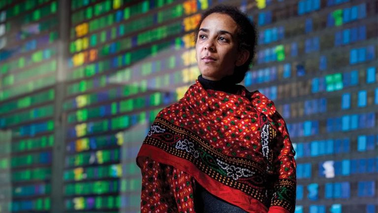 Advocating for Diversity, Inclusion and Ethics in AI with Timnit Gebru ...